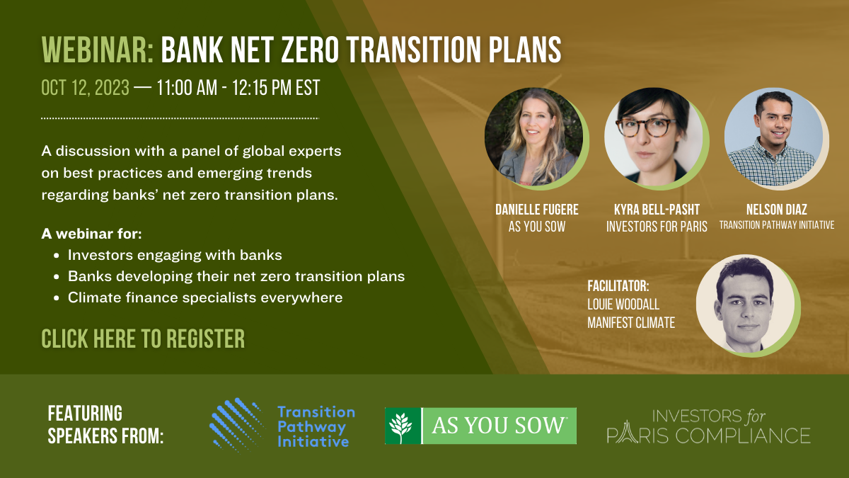 Webinar: Bank Net Zero Transition Plans - Investors For Paris Compliance