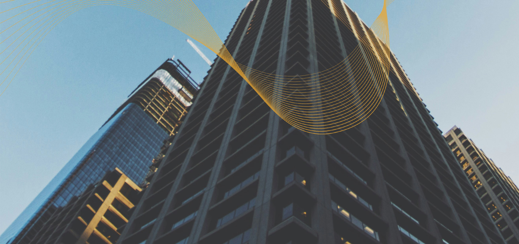 Canadian Banks Asset Managers & Net Zero: A Progress Report - Investors ...